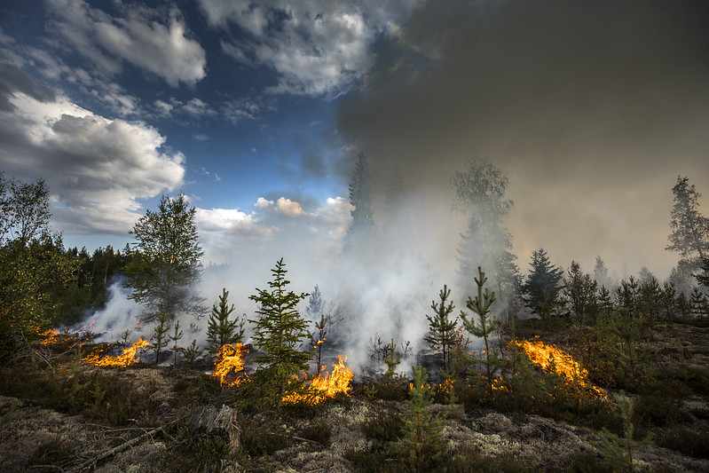 Aegean Region Fire Risk and Management: SC&P's Study